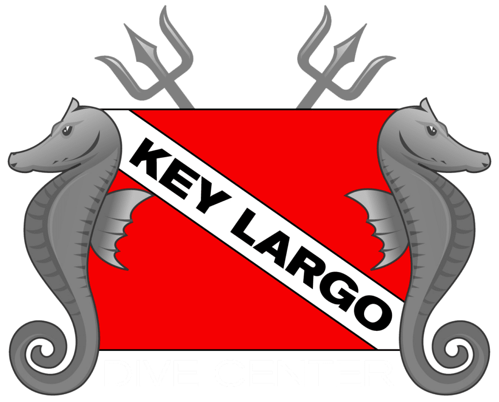 Key Largo Scuba Diving | Key Largo Dive Center | Voted Best 2025